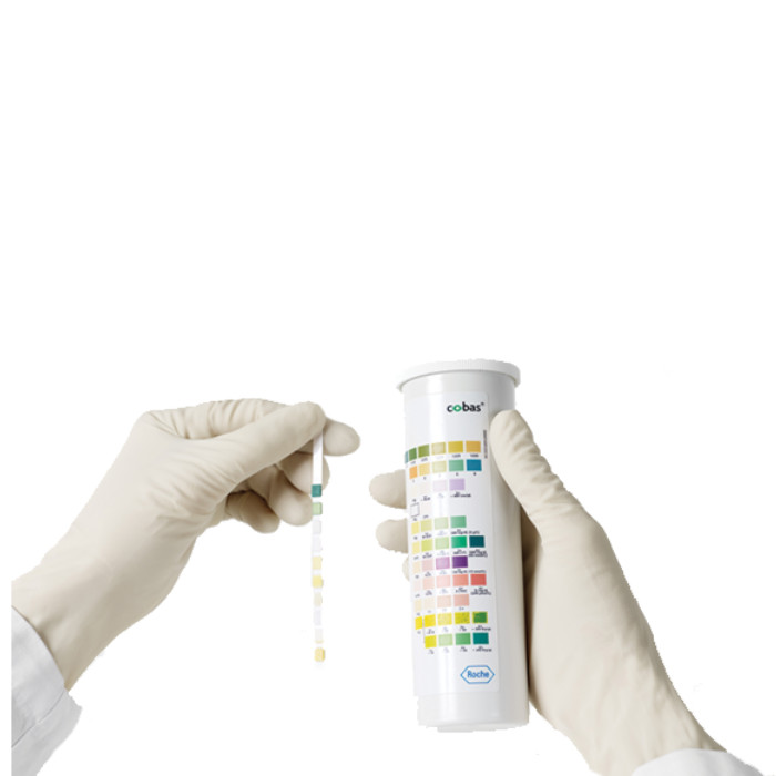 Buy Combur 10 M Test Strips 100's online at best price in the UAE ...